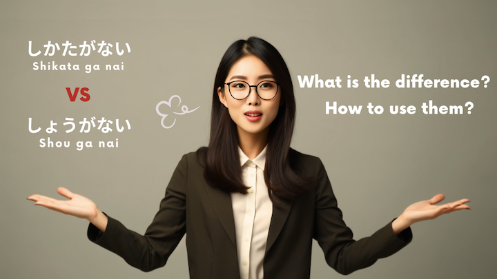Learn Japanese Vocabulary Quickly: How Are “Shikata (ga) Nai” and “Shou ...